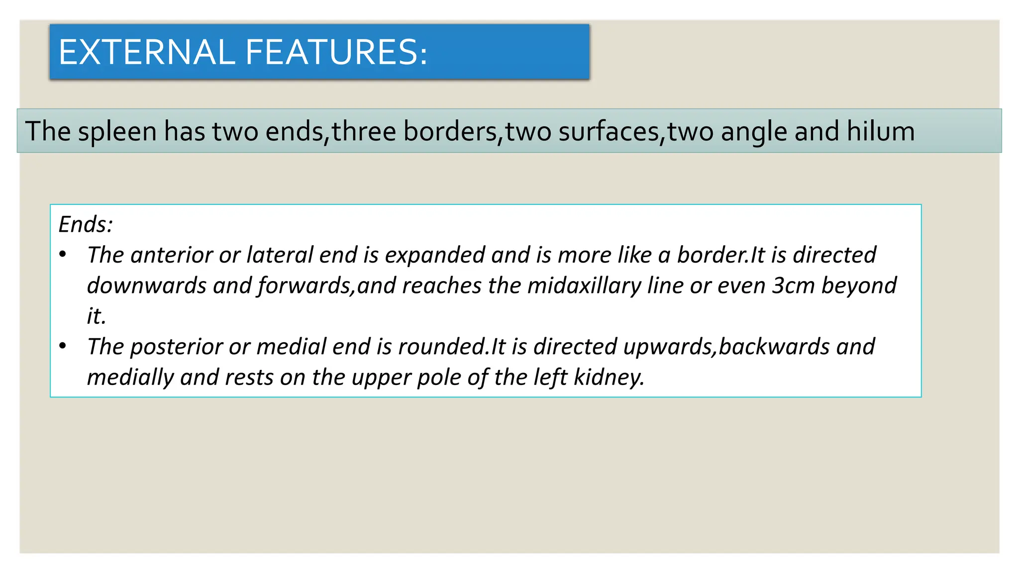 Gross anatomy of spleen location and blood supply.pptx