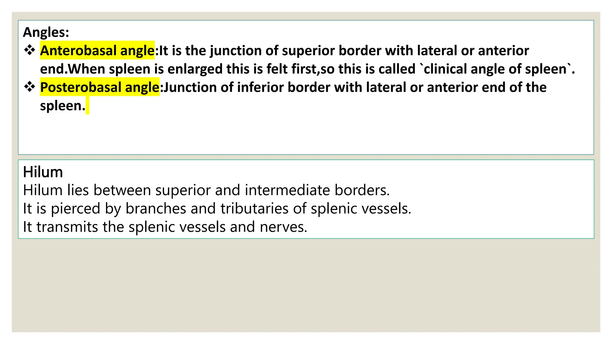 Gross anatomy of spleen location and blood supply.pptx
