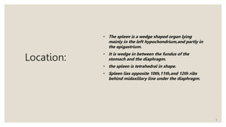 Gross anatomy of spleen location and blood supply.pptx