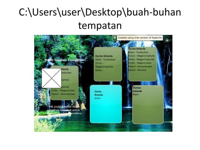 Presentation swf | PPTX
