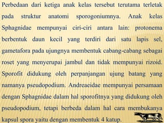 Presentation takson | PPT