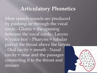 Phonetics and Phonology, the Study of Sound and Phonemes | PPTX