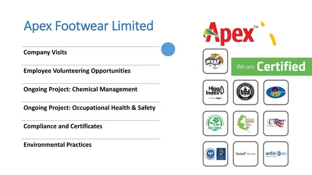 Presentation Apex Sustainability.pptx