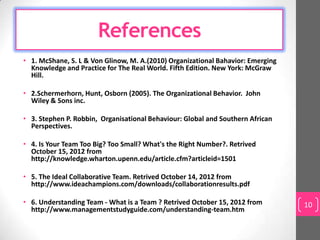 Organizational Behavior (TEAM) | PPTX