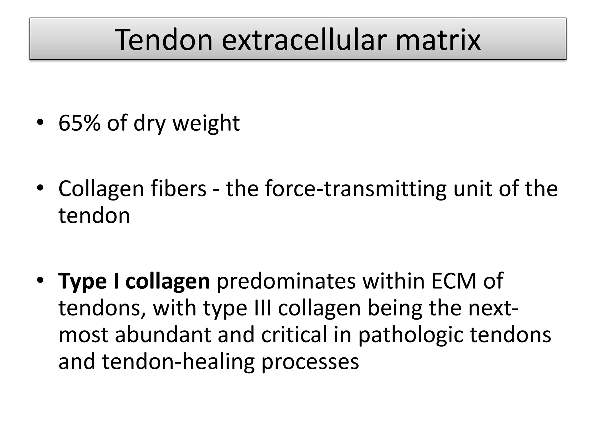 Presentation tendinopathy (1) (1).pdf