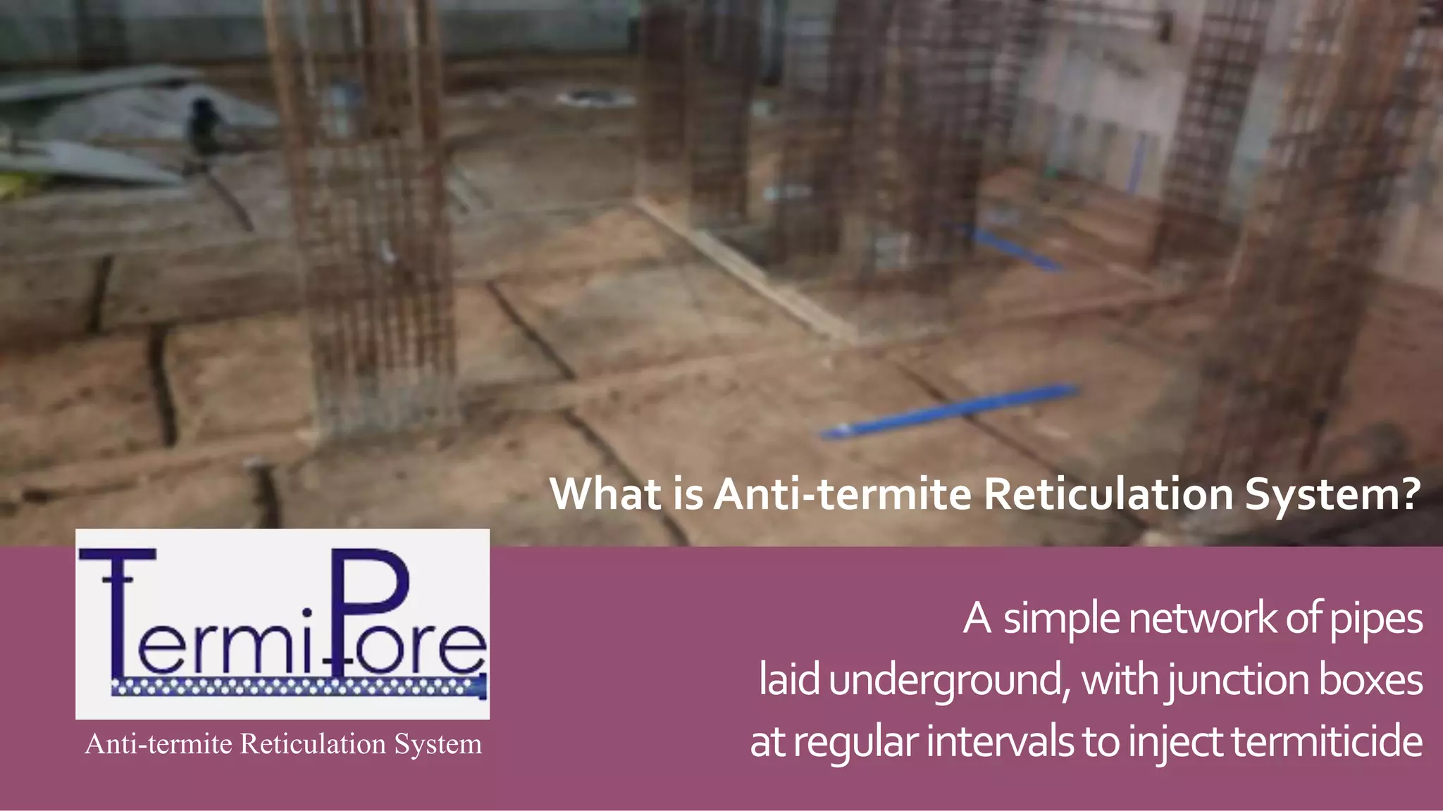 Question to ask before you buy/install Preventive Anti-termite ...