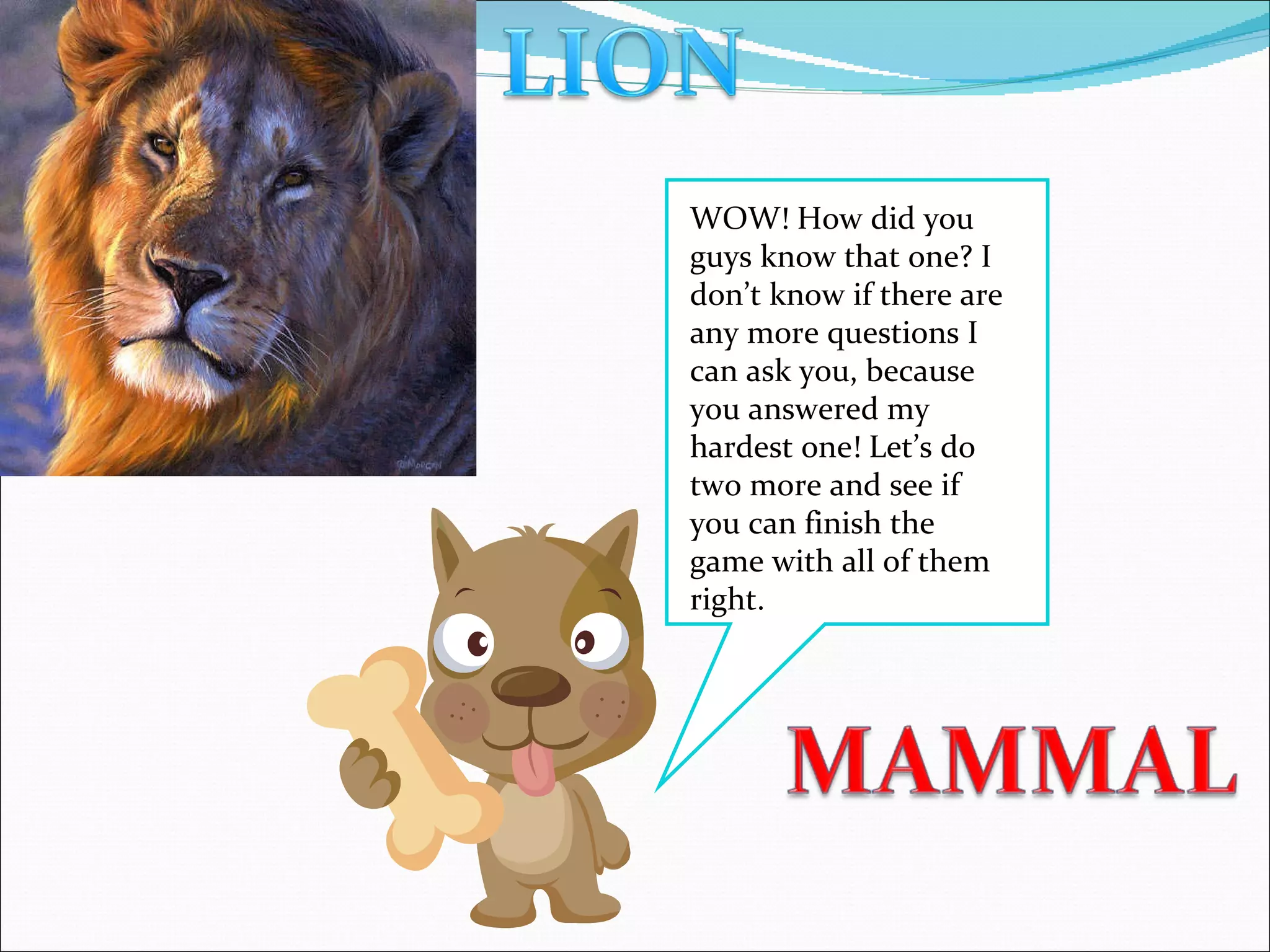 The Animal Kingdom Game | PPT
