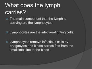 Presentation the lymphatic system | PPT