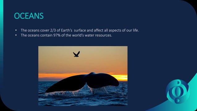The Ocean Project | PPT