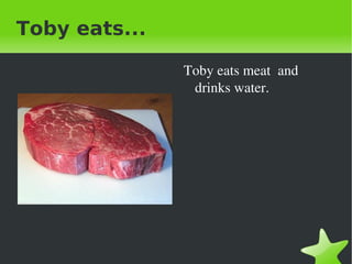 Presentation The Toby | ODP | Dogs | Pets
