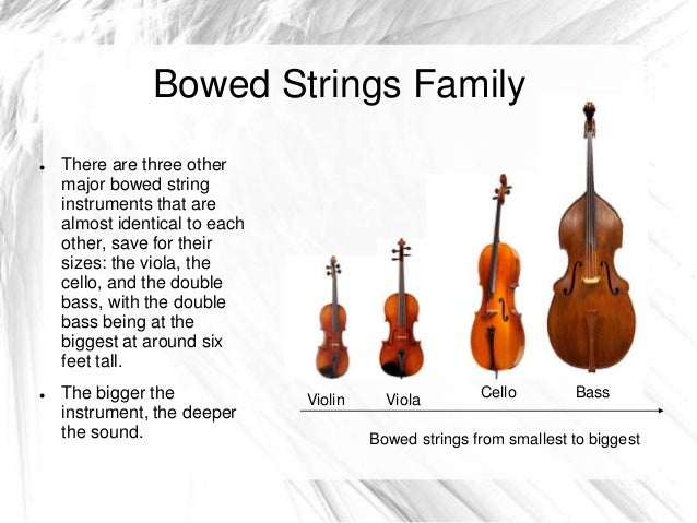 School Presentation Project