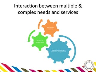 Tackling the multiple and complex needs of short sentenced prisoners | PPTX