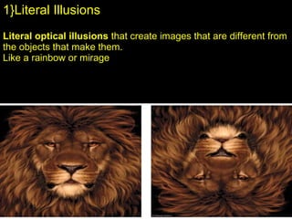 Literal Illusions