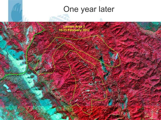 Mapping Forest Loss and Degradation Using Satellite Imagery | PPTX ...