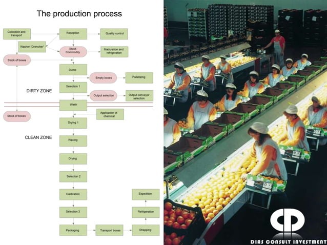 Fruit packing line | PPT