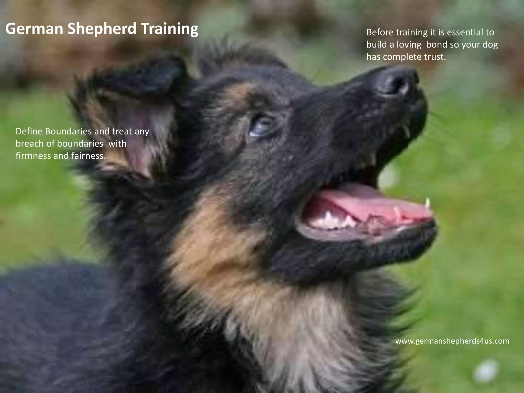 German Shepherd Training | PPTX