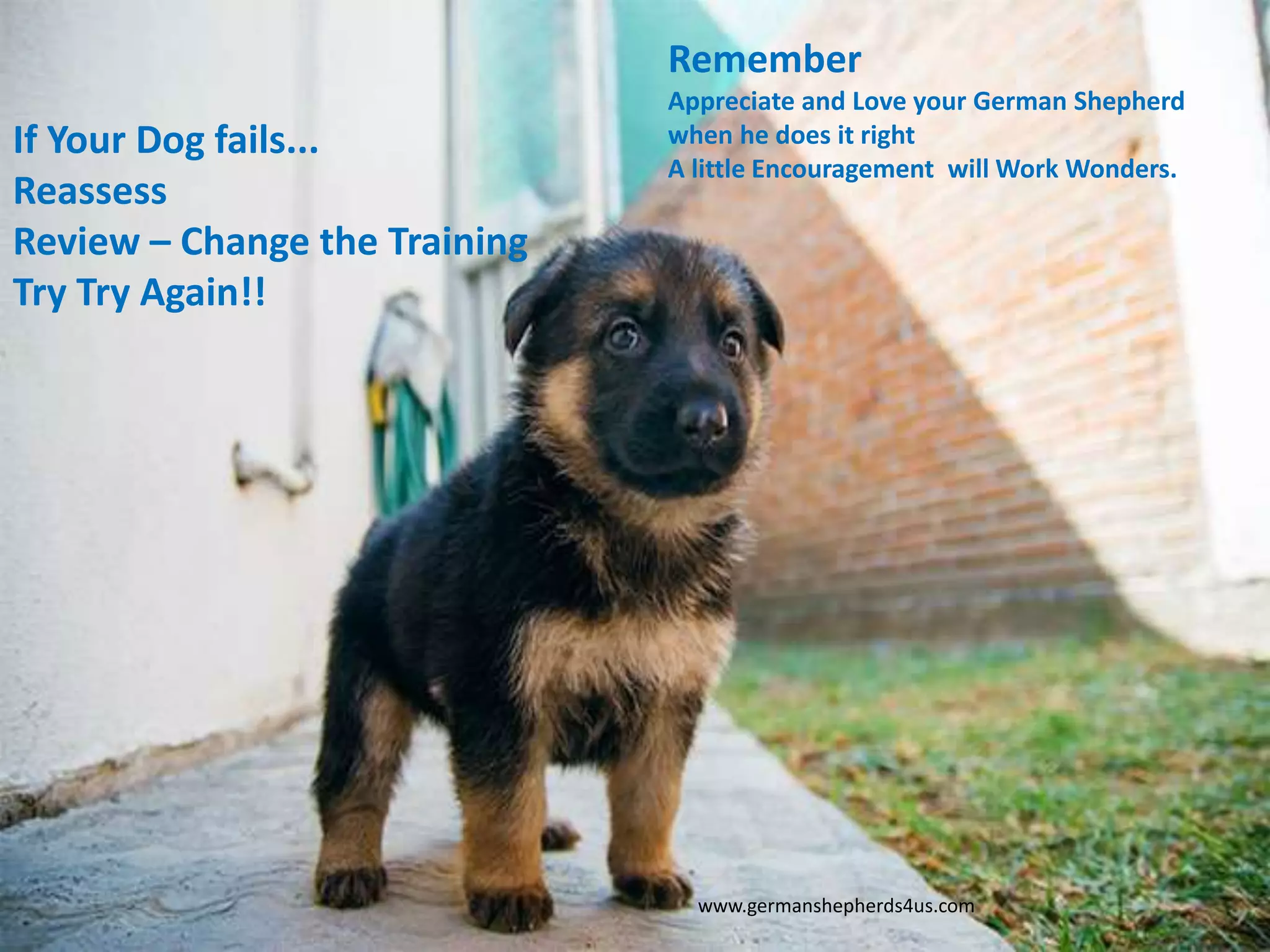 German Shepherd Training | PPTX