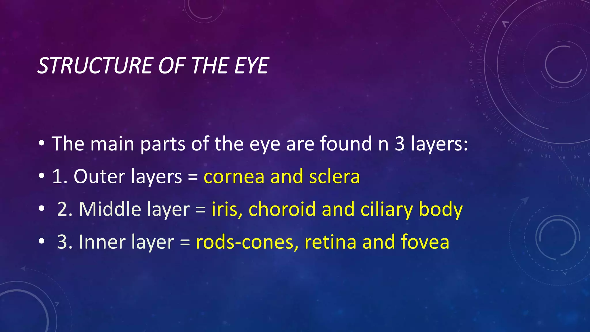 the eye anatomy | PPT