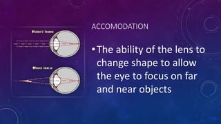 the eye anatomy | PPT
