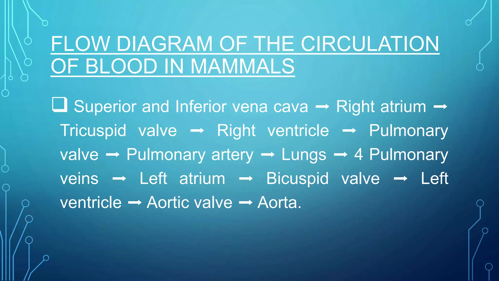 LIFE SCIENCES TOPIC: TRANSPORT SYSTEMS IN MAMMALS | PPTX
