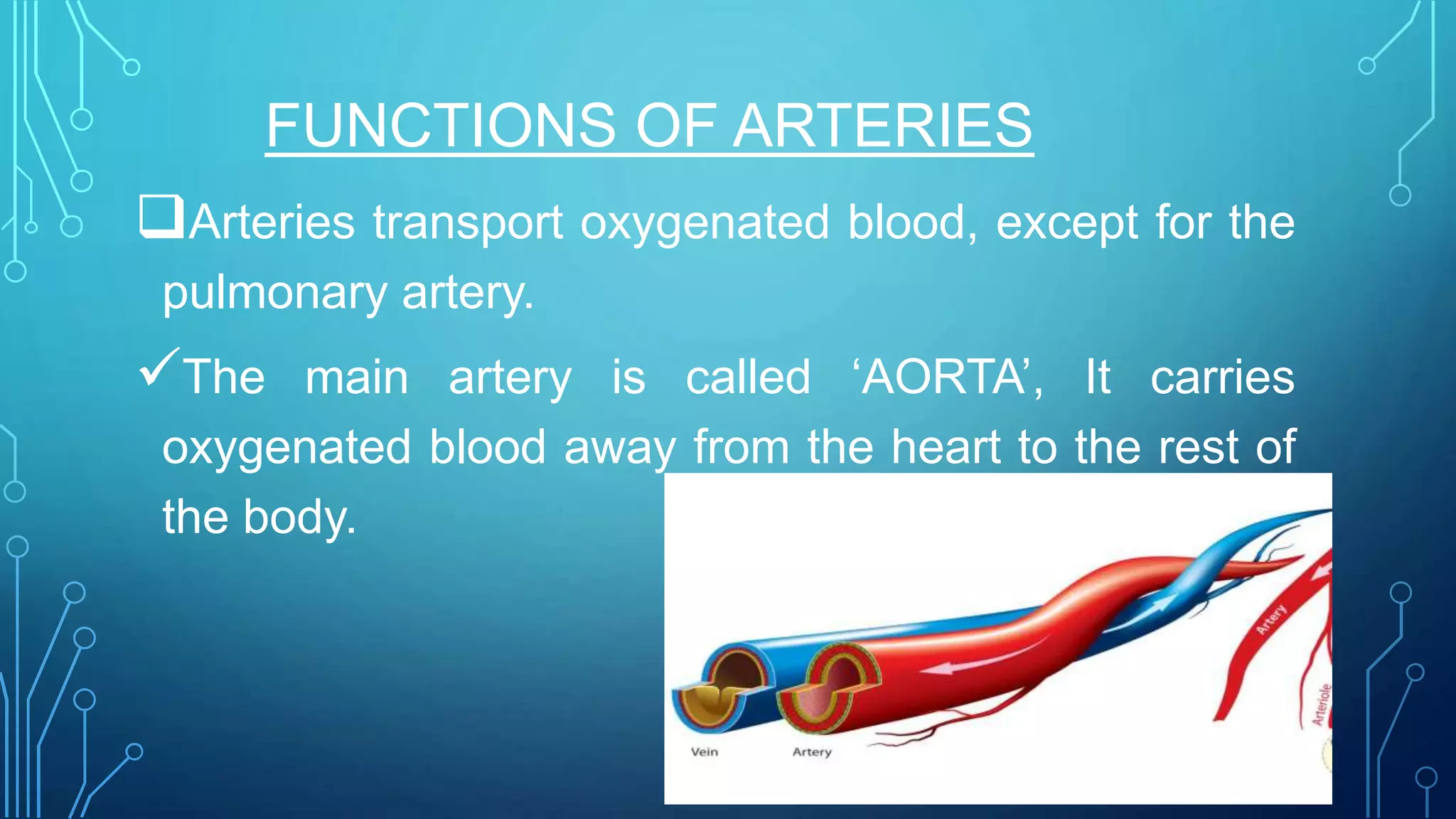 LIFE SCIENCES TOPIC: TRANSPORT SYSTEMS IN MAMMALS | PPTX