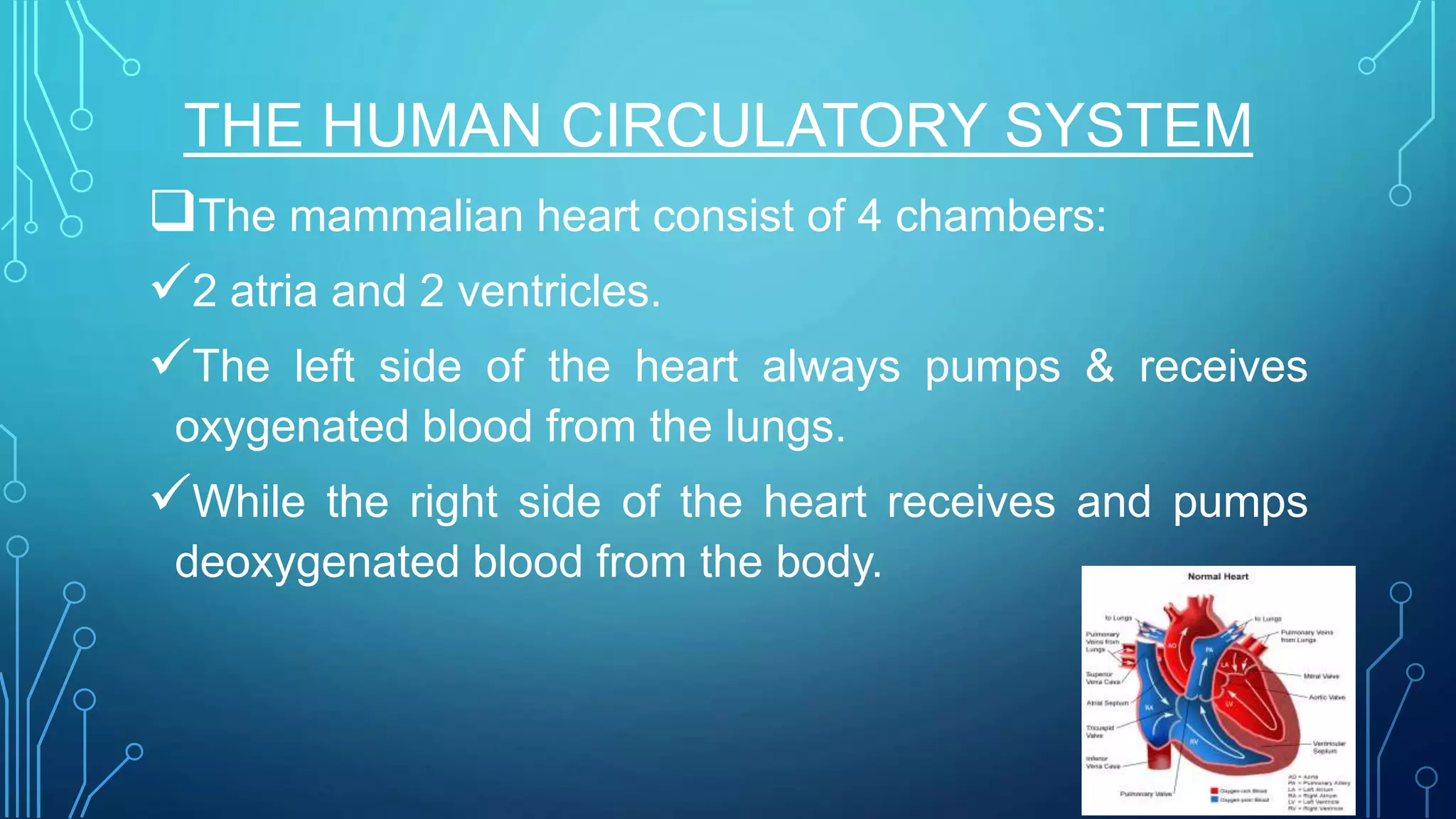 LIFE SCIENCES TOPIC: TRANSPORT SYSTEMS IN MAMMALS | PPTX