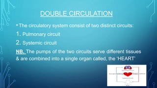 LIFE SCIENCES TOPIC: TRANSPORT SYSTEMS IN MAMMALS | PPTX
