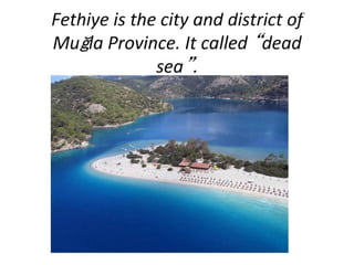 Presentation turkey pp | PPT