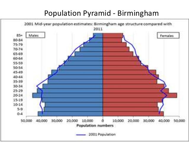 Birmingham's Public Health Challenges