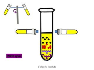 Presentation ultra centrifuge | PPT | Free Download