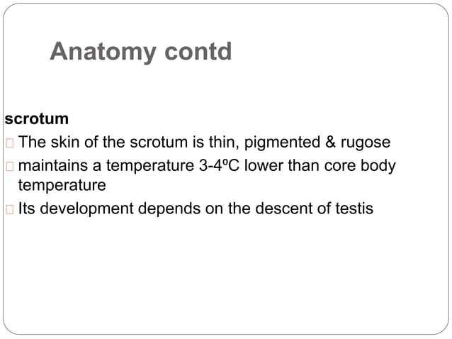 undescended testes | PPTX | Infertility | Reproductive Health