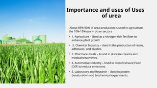 Presentation urea grade xii science (1).pptx
