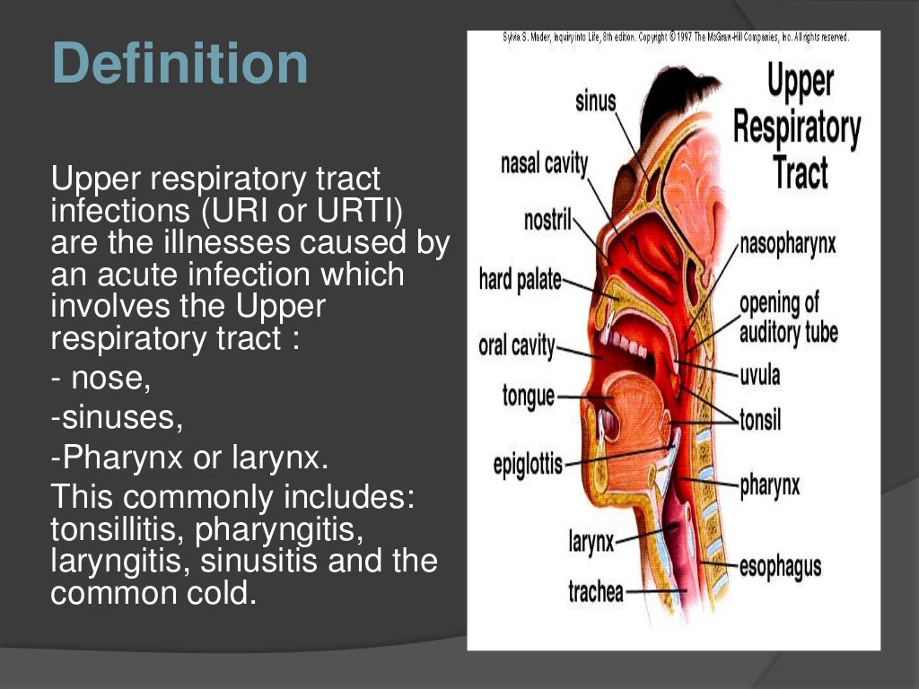 Upper Respiratory Tract Infection Upper Respiratory Tract Infection
