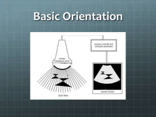 Basic Labour Ward Ultrasound 101 | PPTX