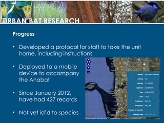 Bats and Technology | PPT