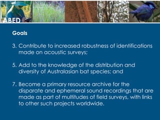 Bats and Technology | PPT