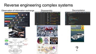 Complex Systems Neuroscience | PPT