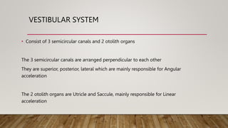 Presentation of ent vestibular anatomy and physiology | PPT