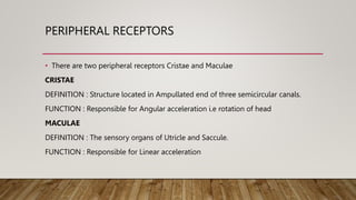 Presentation of ent vestibular anatomy and physiology | PPT