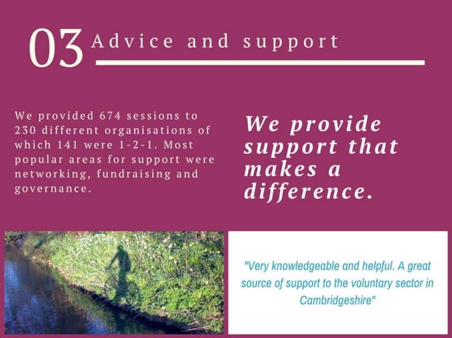 CCVS Annual review 2014-15 | PPT