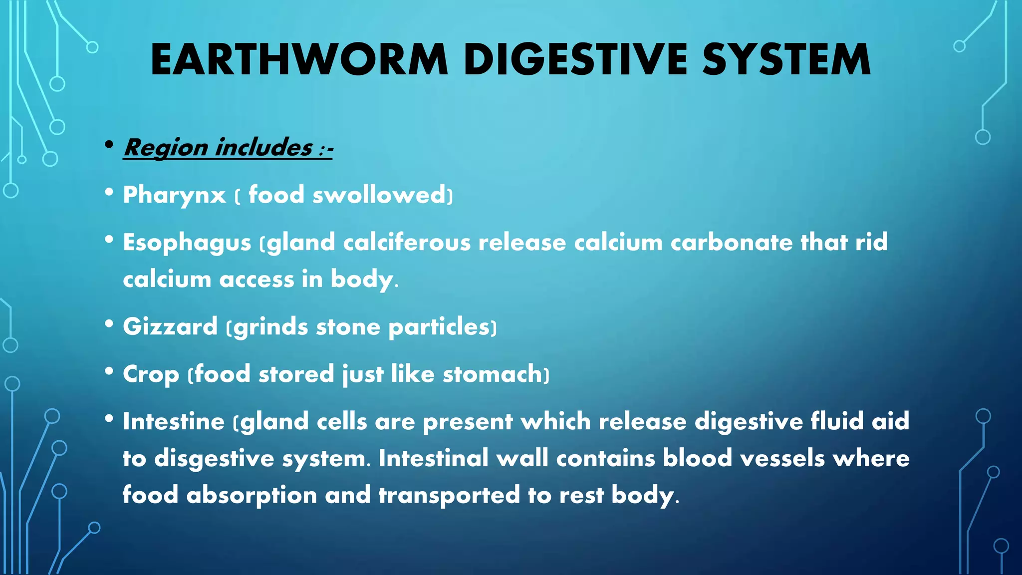 VERMICULTURE detail information | PPTX