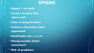 VERMICULTURE detail information | PPTX