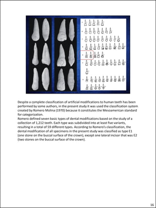 Evidence of pulp disease in the inlayed teeth of the ancient Mayans: a ...