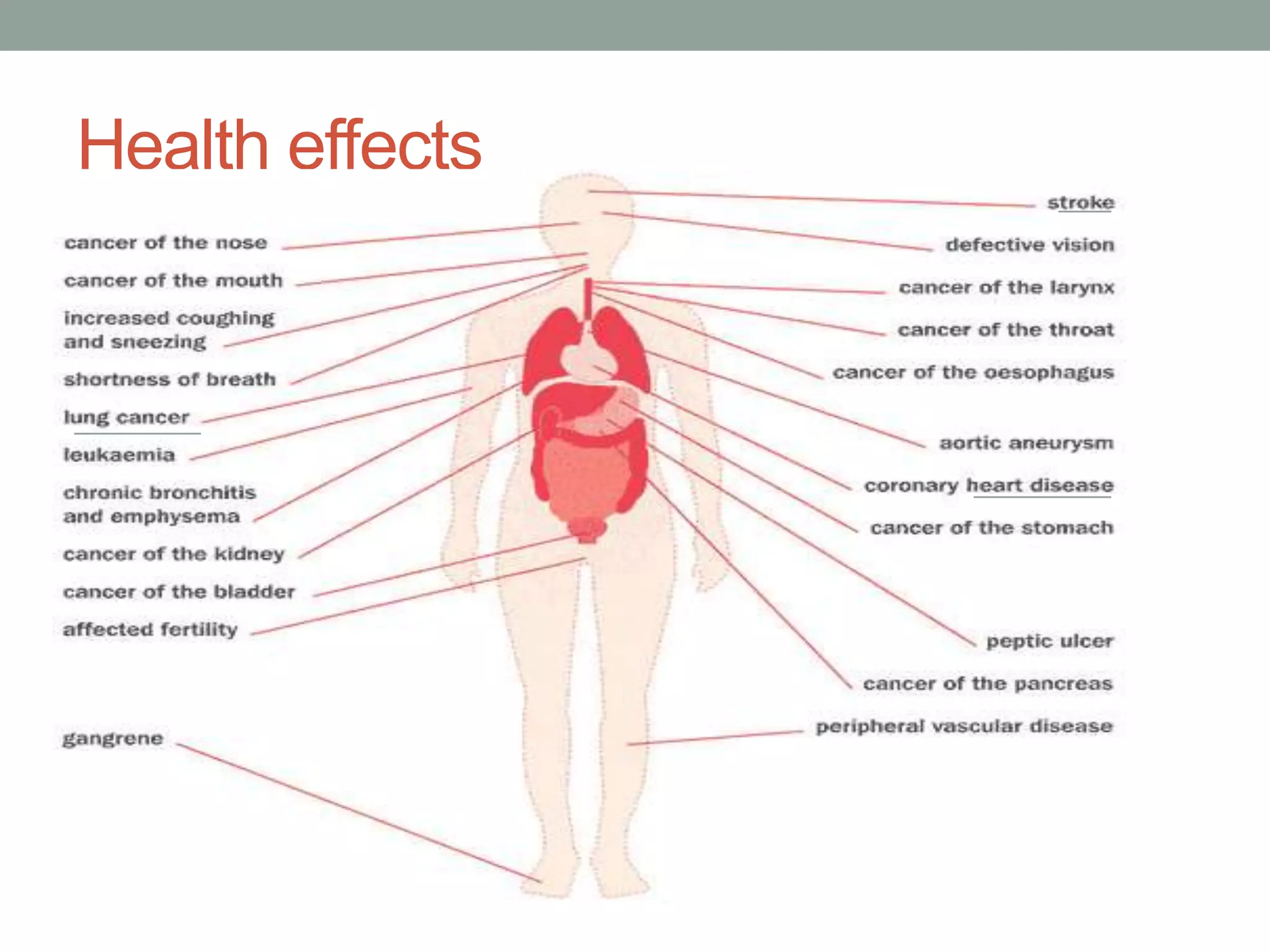 Smoking Presentation | PPTX