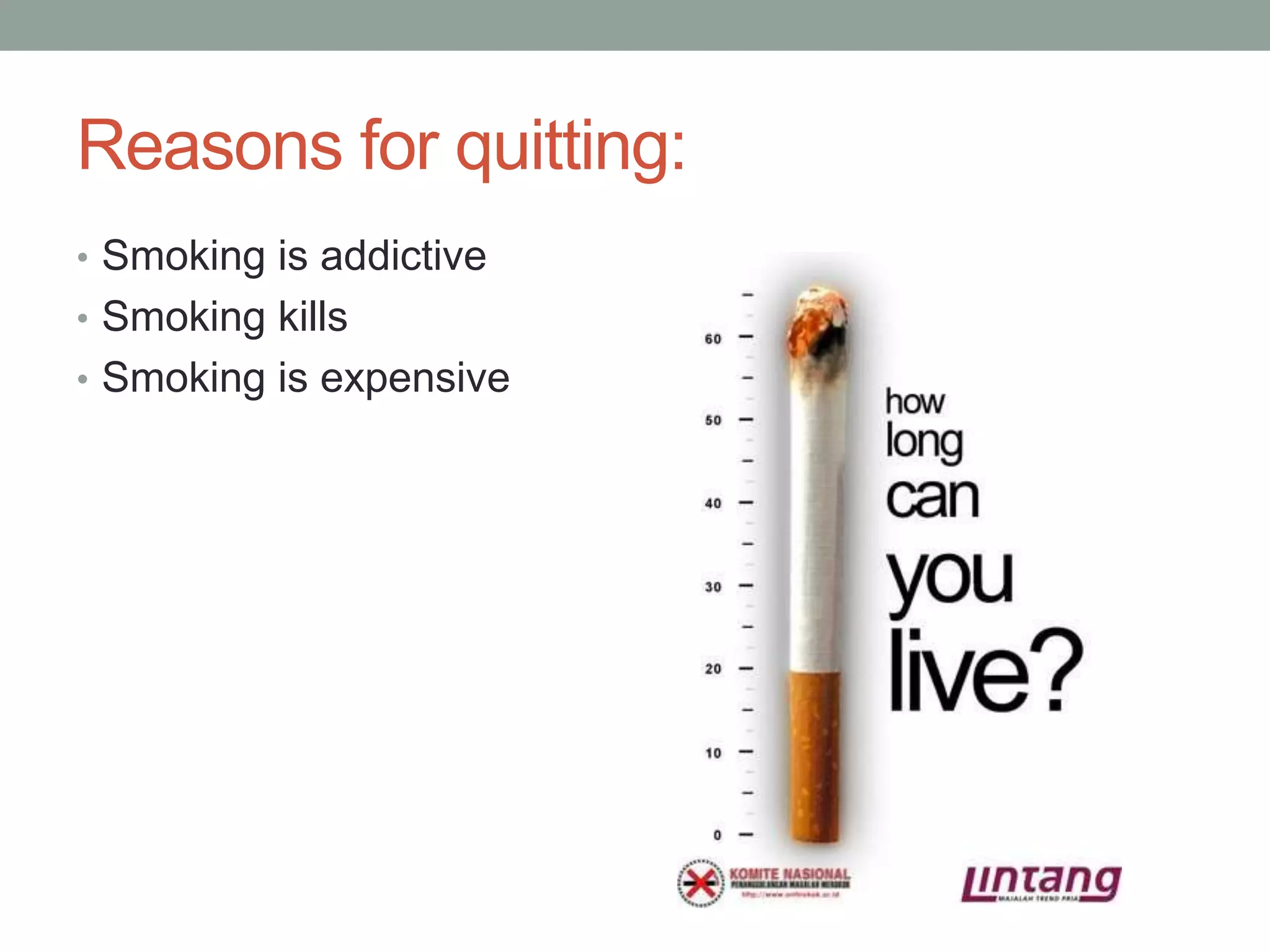 Smoking Presentation | PPTX