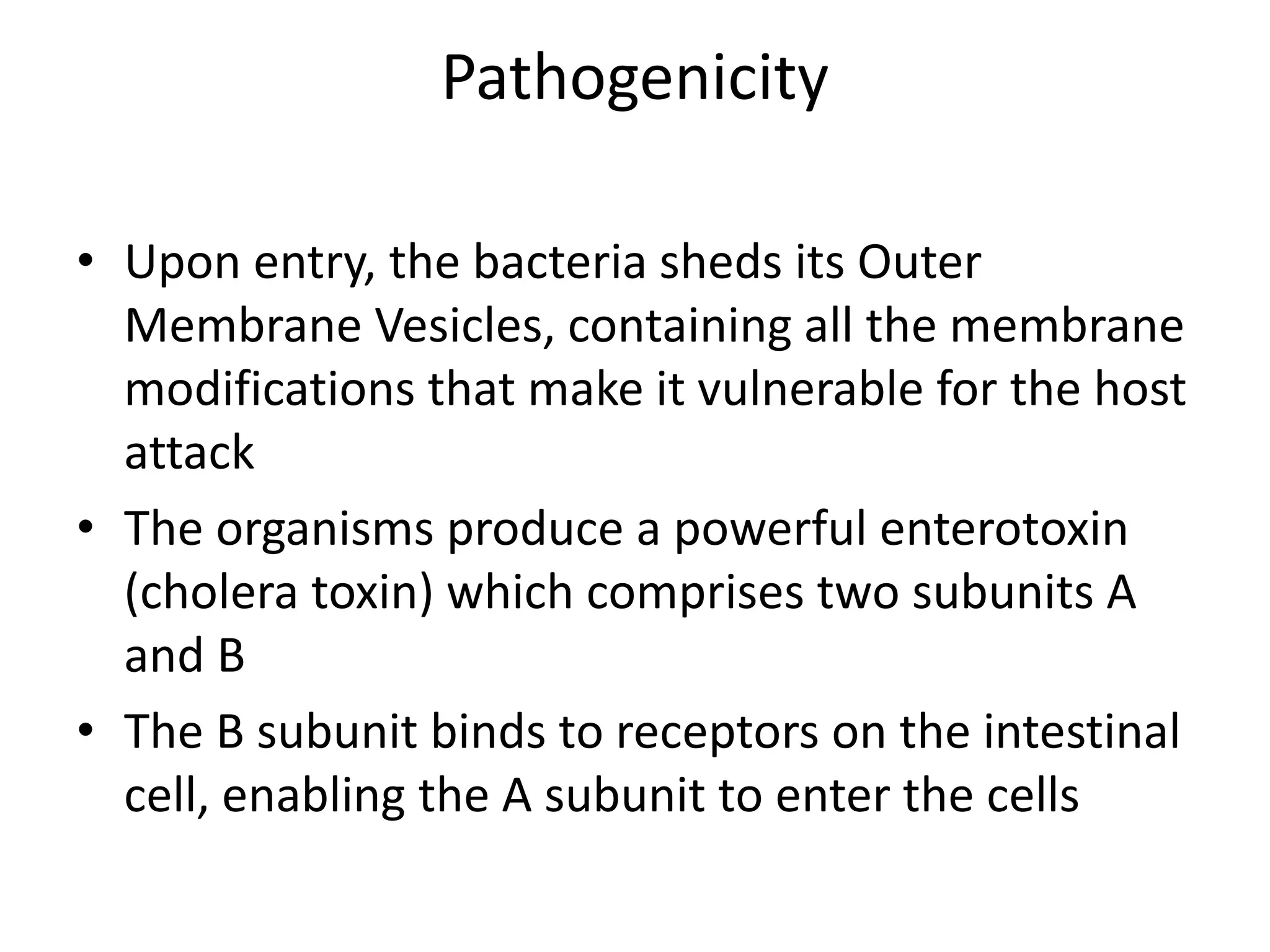 Presentation vibrio cholera | PPTX