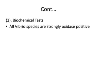 Presentation vibrio cholera | PPTX