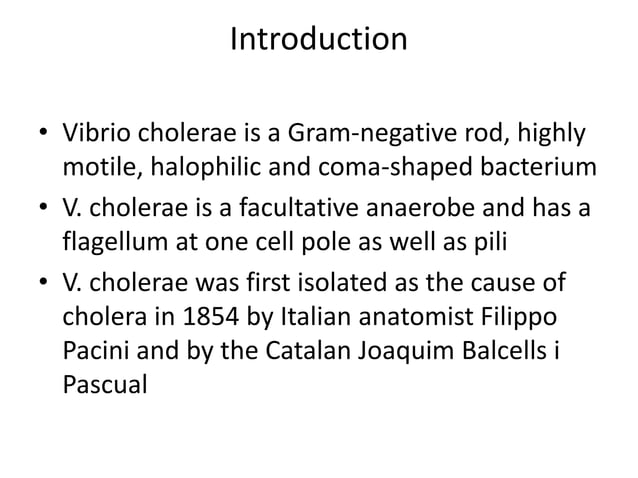 Presentation vibrio cholera | PPTX