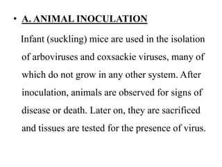 Presentation virology.pptx