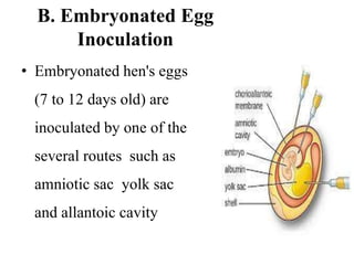 Presentation virology.pptx
